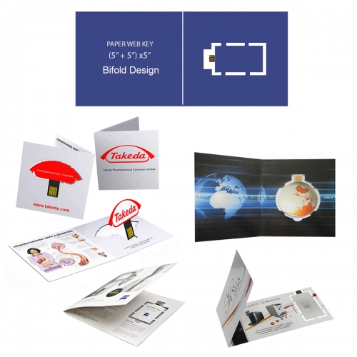 Credit Card Mailer Webkey,USB WebKey